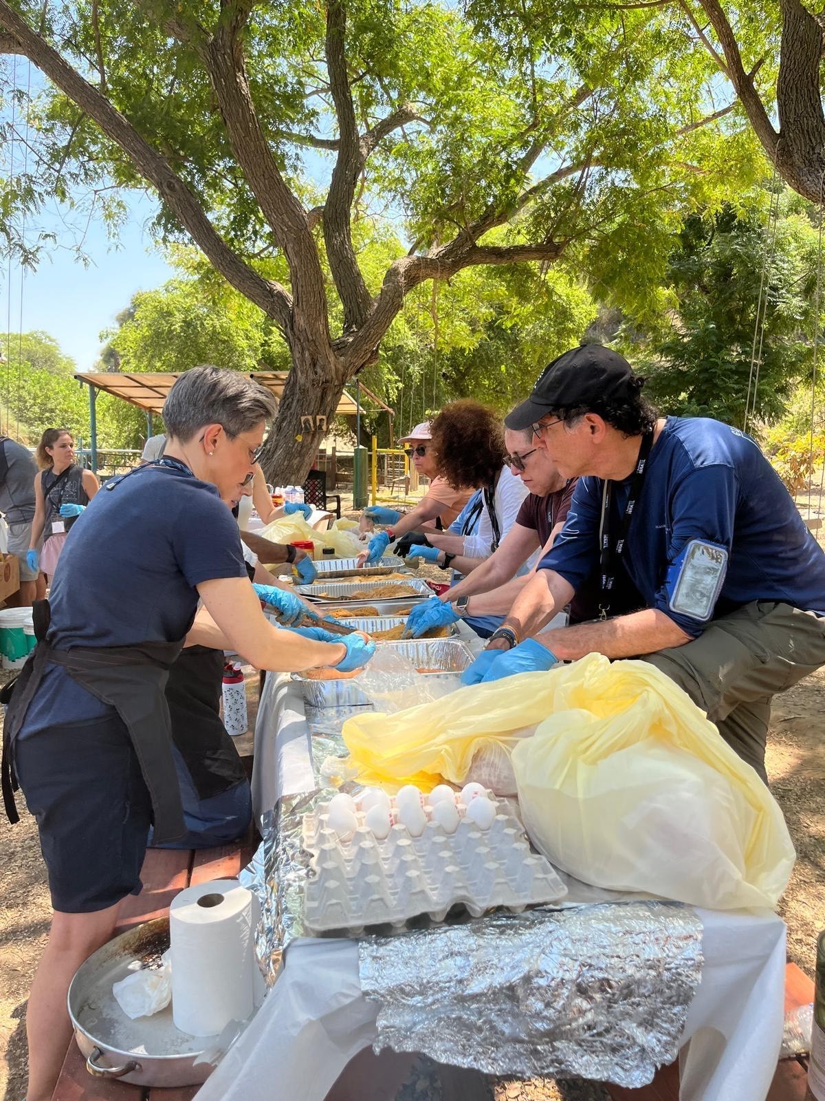 Volunteer in Israel – Funded by Birthright Israel for adults of all ages